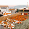 Dates, Hours & Directions | Gordon's Family Farm